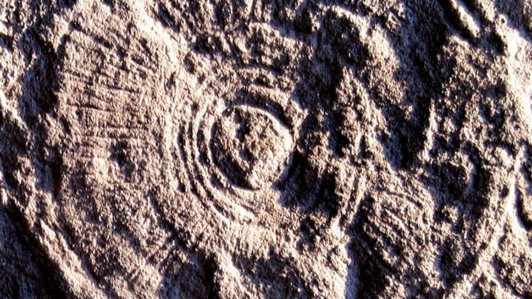 Descubren la razón principal de la primera extinción masiva de la ...