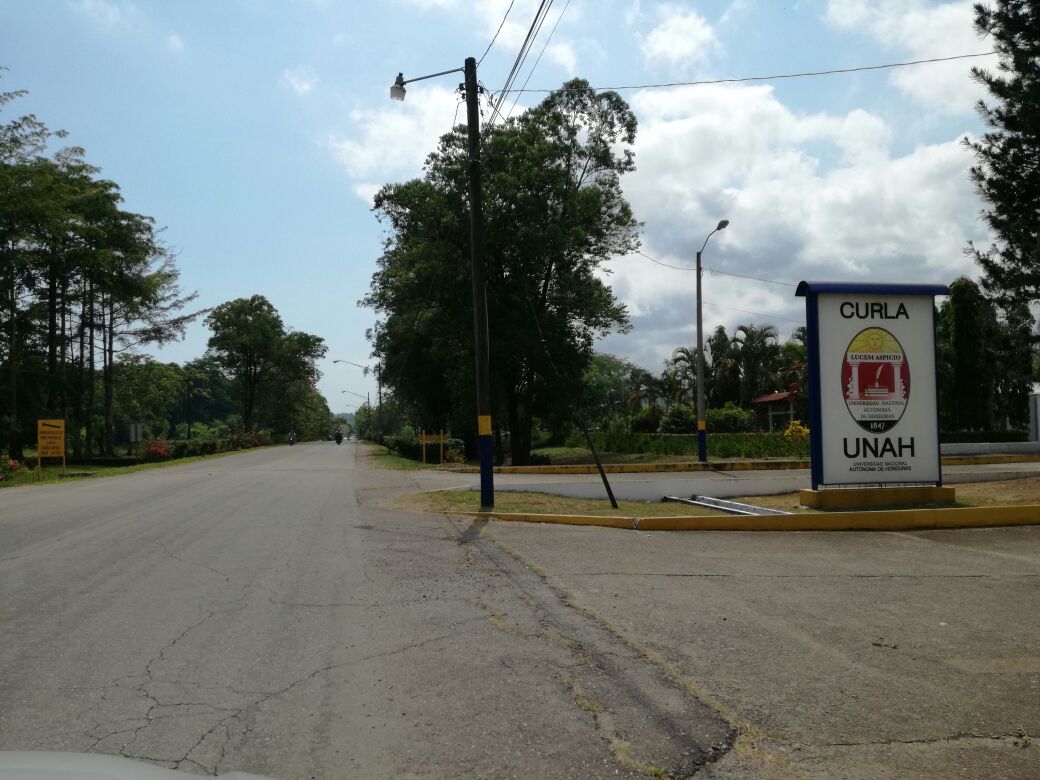 El CURLA contará con mejor granja avícola a nivel de Centroamérica ...