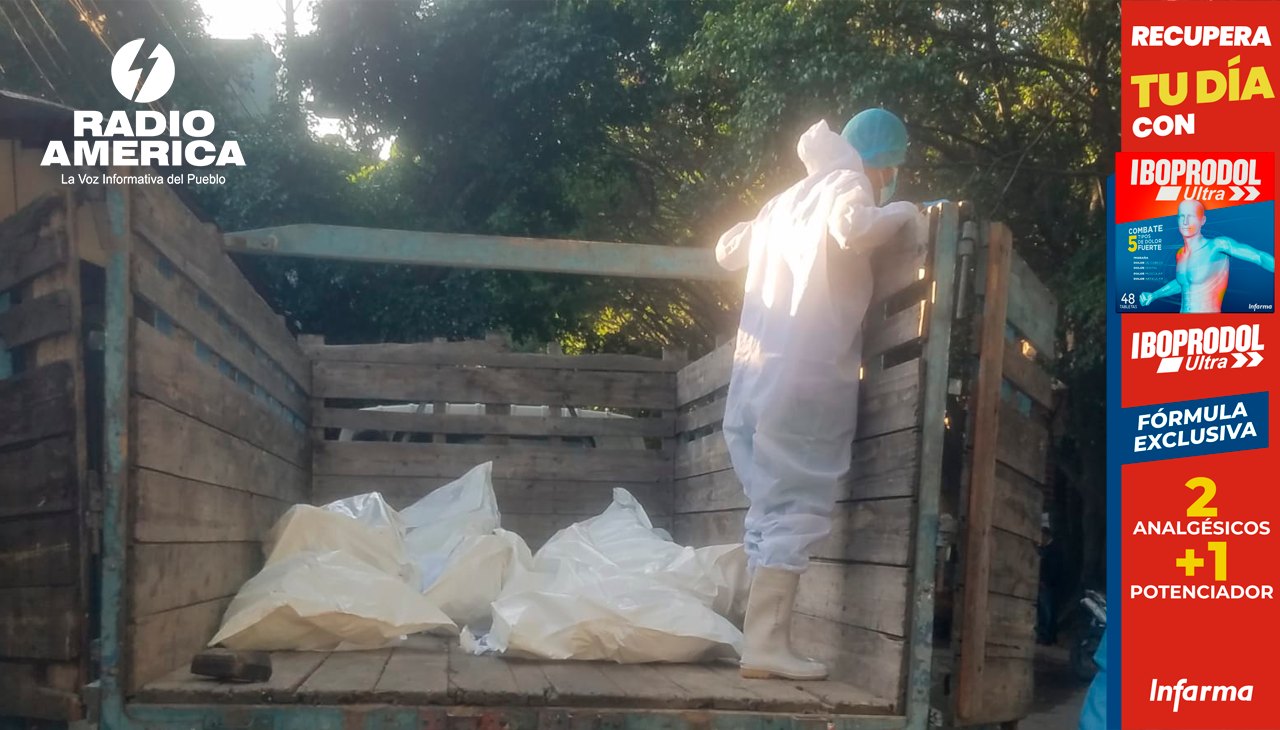 Unos 22 cuerpos sin reclamar fueron inhumados este sábado por Medicina ...