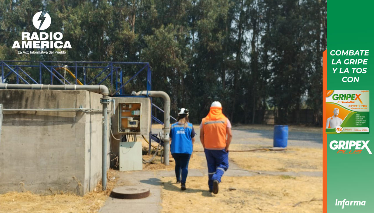 Más de 300 millones de dólares se planea invertir en plantas de ...