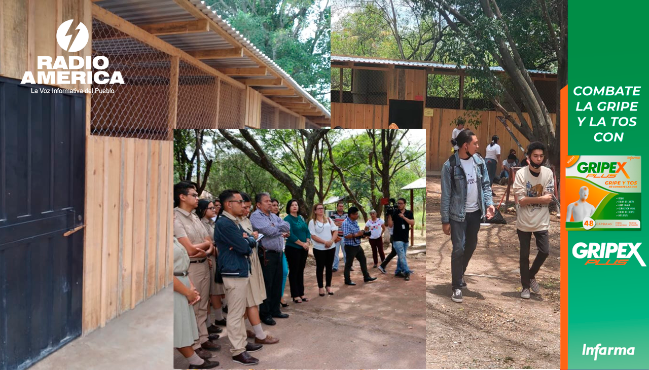 Directora del INTAE pide más de 600 estructuras al Ministro de ...