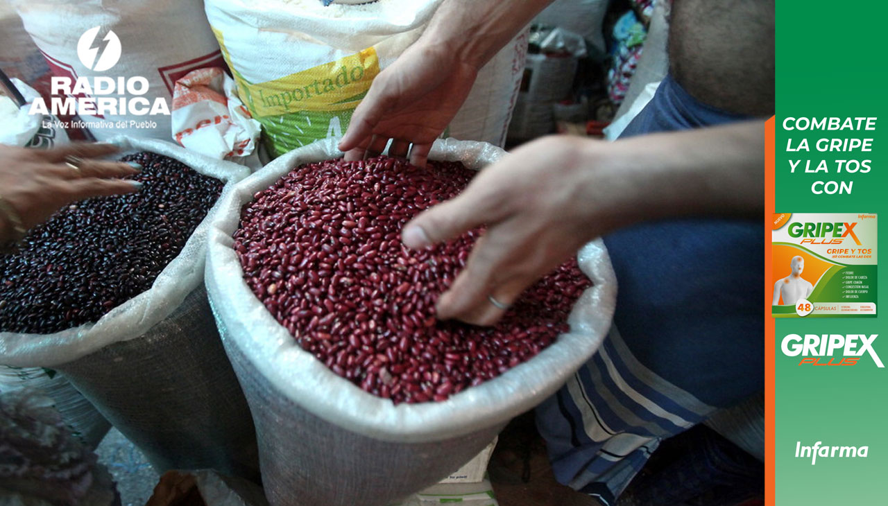 Advierten caída hasta de un 50% en cosecha de granos básicos en ...