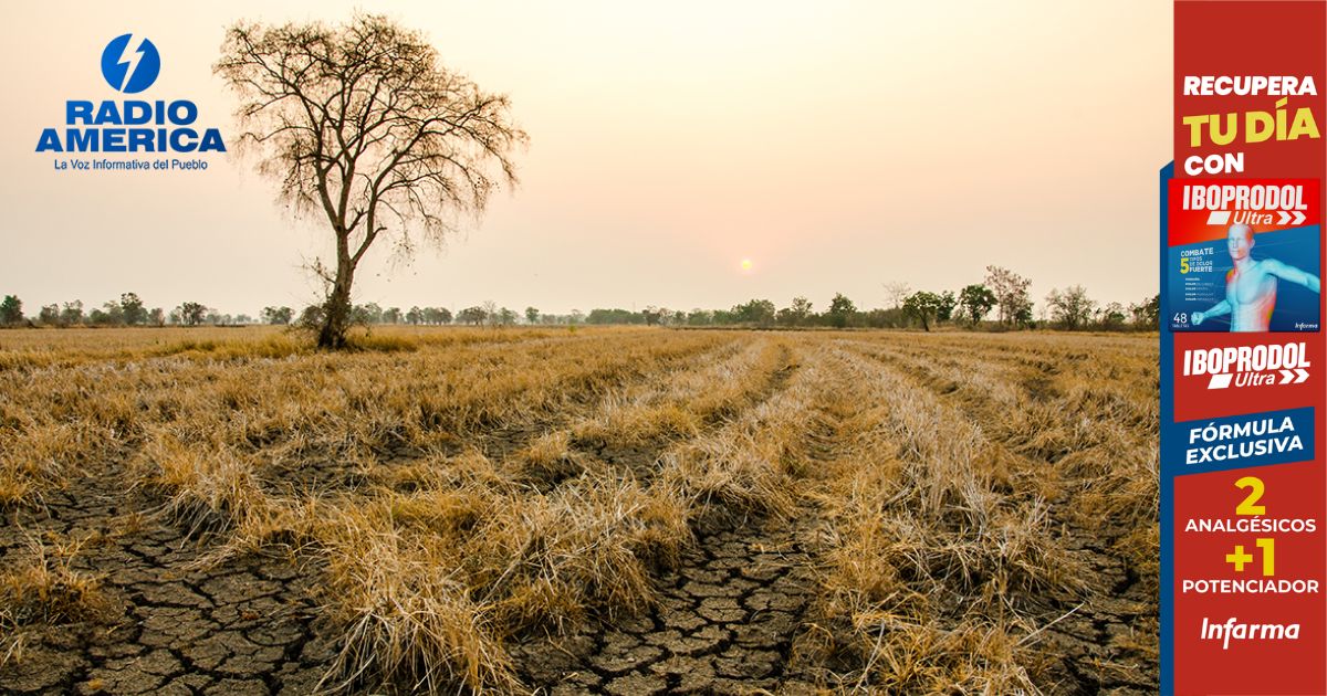 El SICA y la FAO llaman a unir esfuerzos y a movilizar recursos para el ...